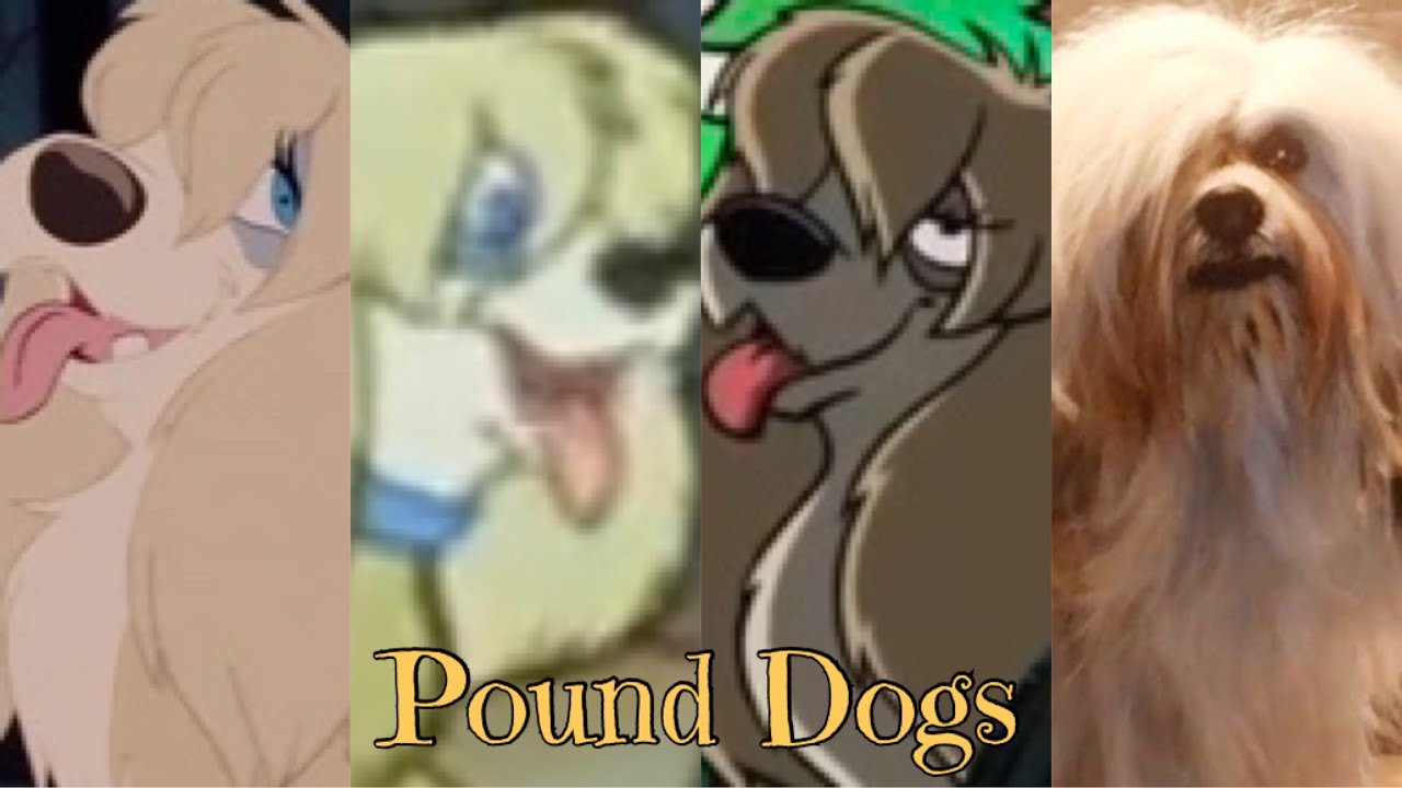 Pound Dogs (Lady And The Tramp) | Evolution In Movies & TV (1955 - 2019 ...