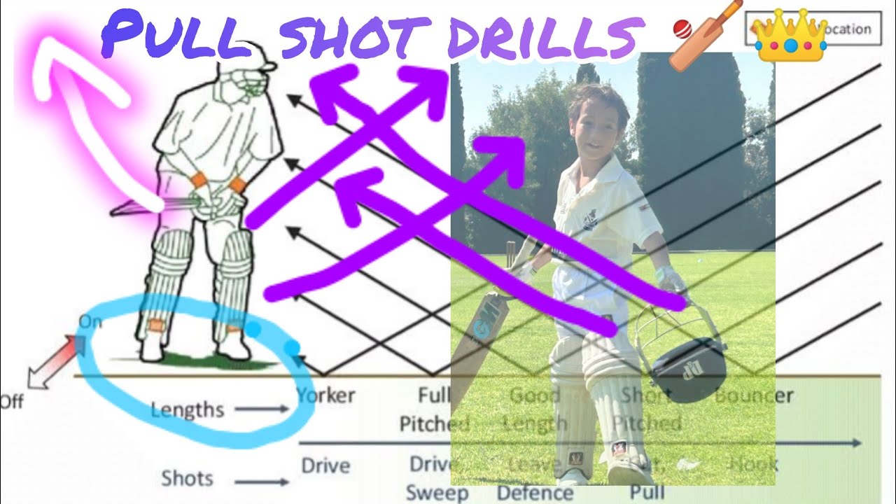PULL SHOT DRILLS 🏏🔥🇿🇦👑 cricket kings #cricket #cricketlover #viral # ...