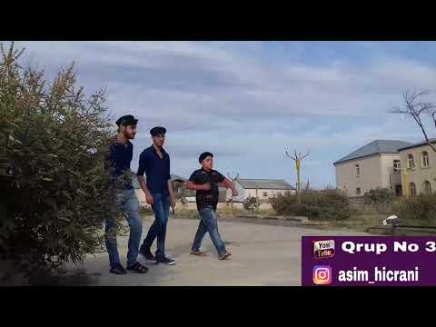 Kuce Davasi