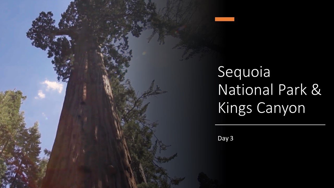 Virtual Road Trip USA - Day 3 Sequoia National Park & Kings Canyon ...