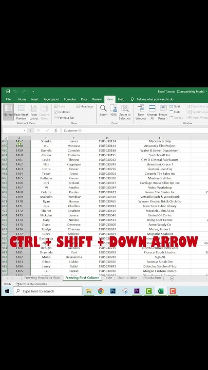 মাইক্রোসফট এক্সেলে কিভাবে টপরো এবং ফার্স্ট কলাম ফ্রিজ করবেন? #exceltutorial #excelcourse #excel ...