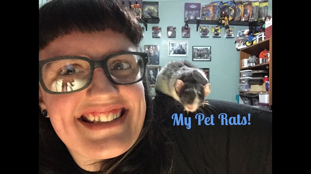 Meet My Pets: Pandora and Eve! - YouTube