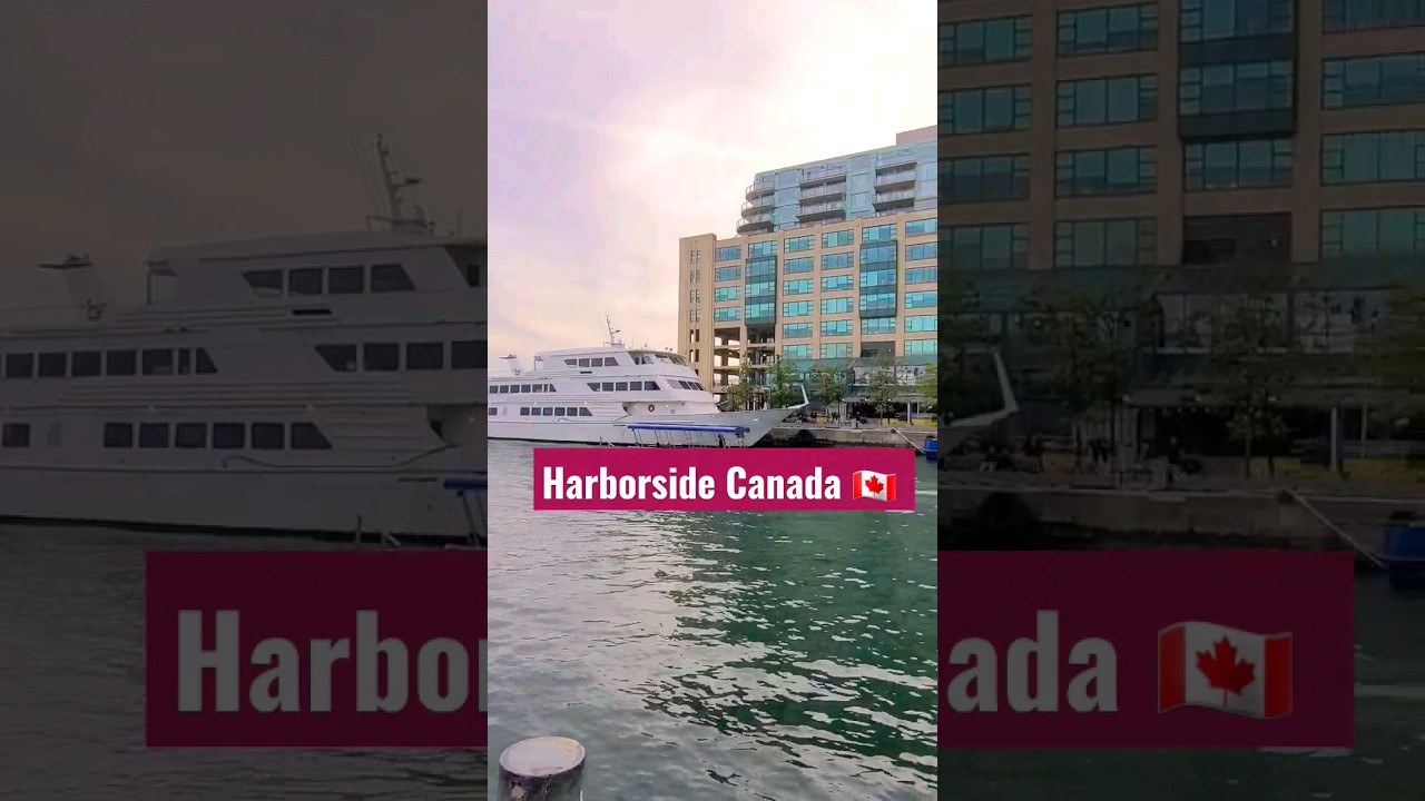 Beautiful Evening Walk at the Toronto Docks Harbor #canada #travel # ...