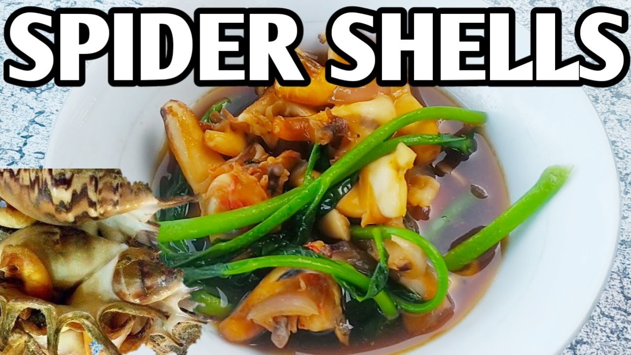 SPIDER SEA SHELLS WITH MALABAR SPINACH - YouTube