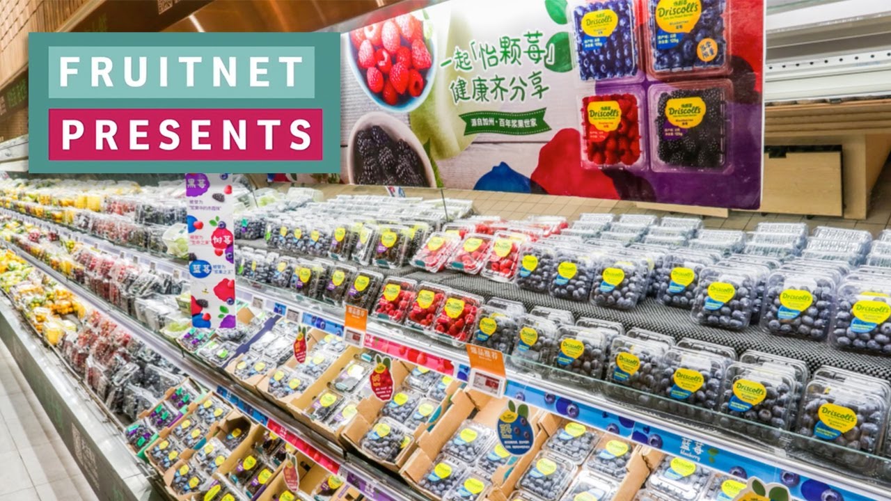 Fruitnet Presents: Driscoll's China - YouTube