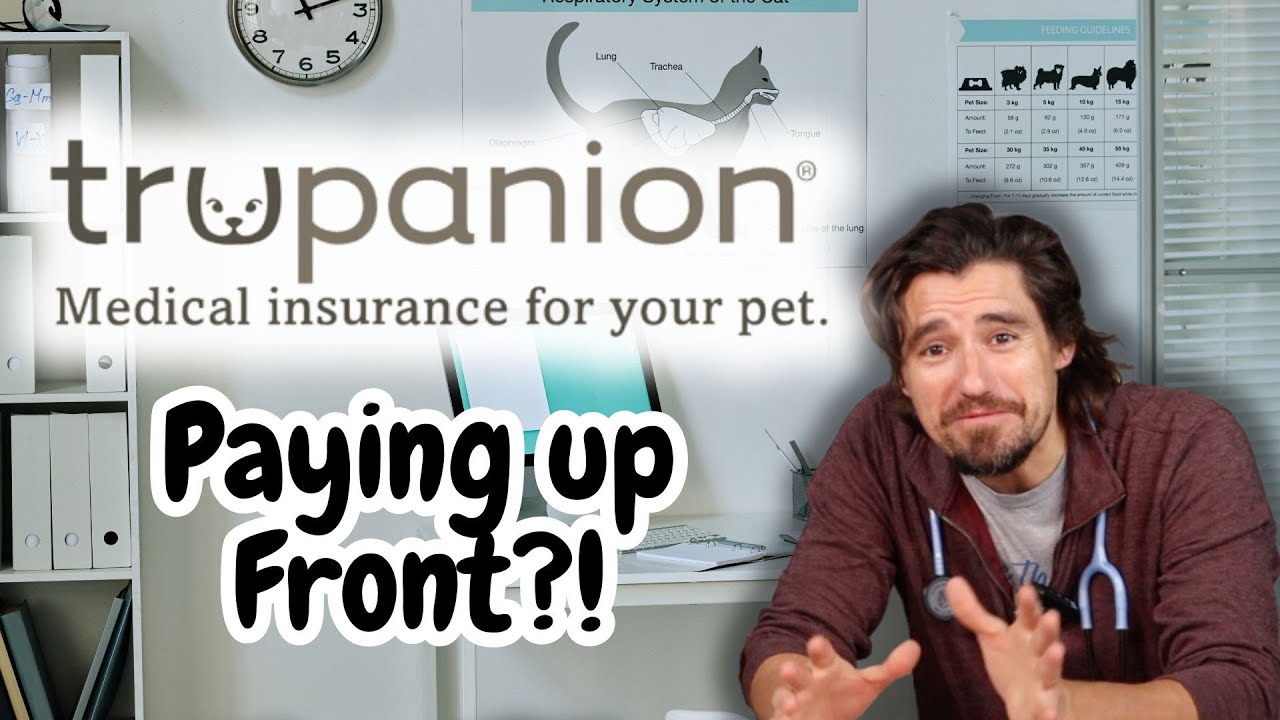 Trupanion is Changing Pet Insurance for the Better - YouTube