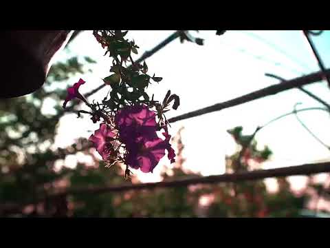 Grand Neon Aciq havada toy