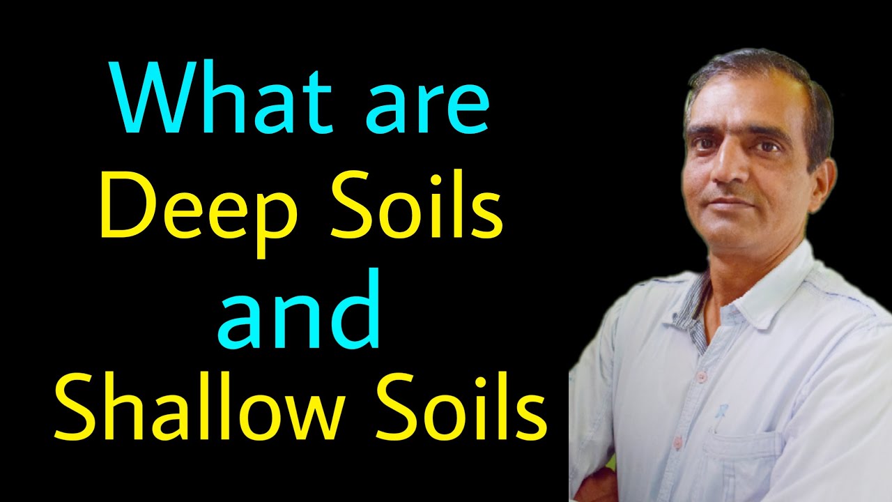 What are deep and Shallow Soils? - YouTube