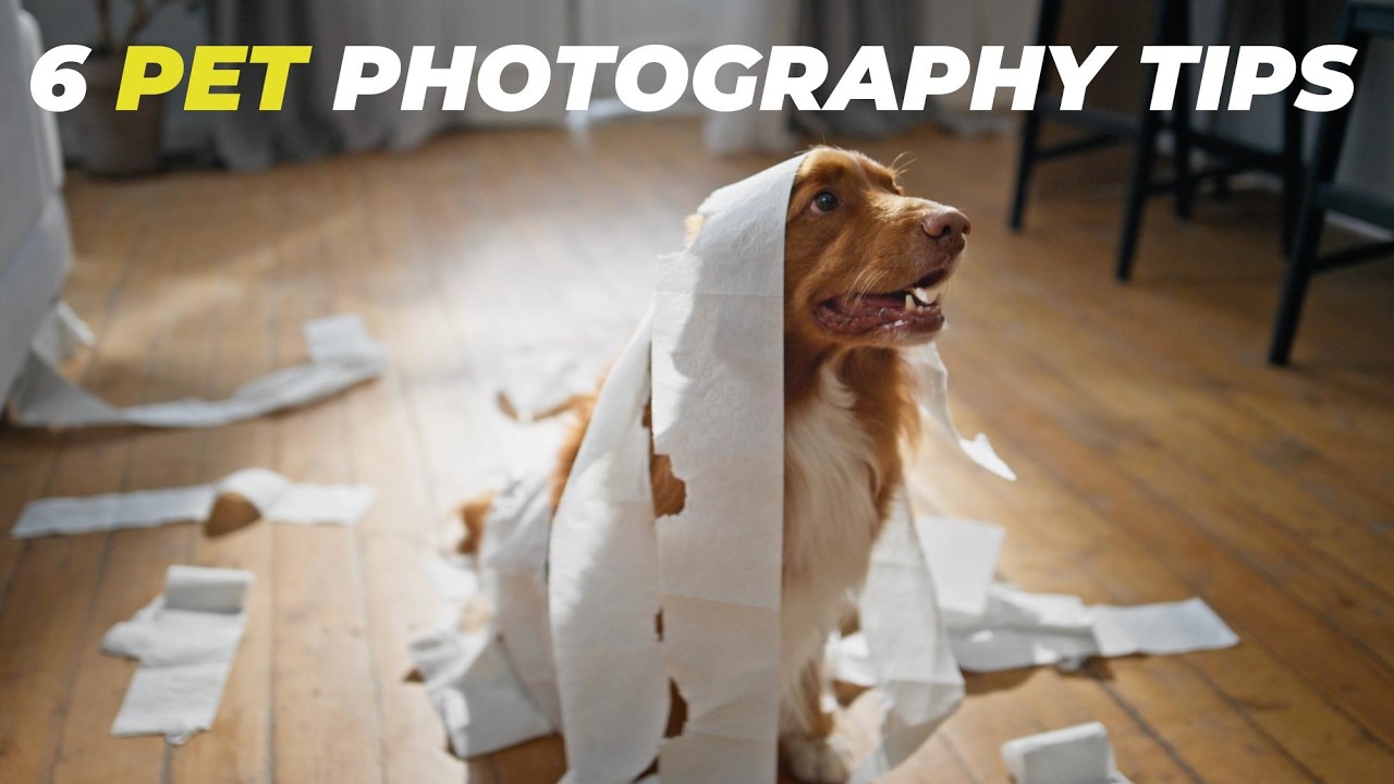 6 Pro Pet Photography Tips | Adam Goldberg - YouTube