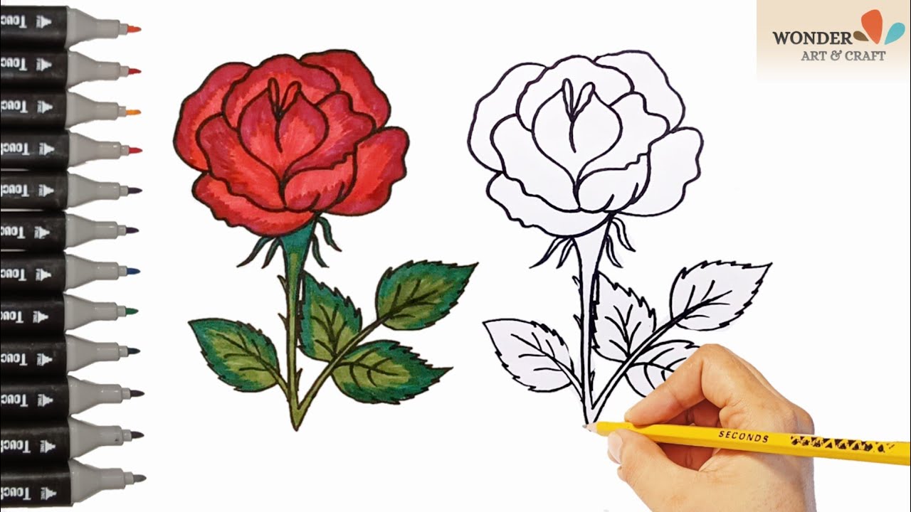 How to draw a easy Rose🌹|| rose drawing easy || rose drawing color ...