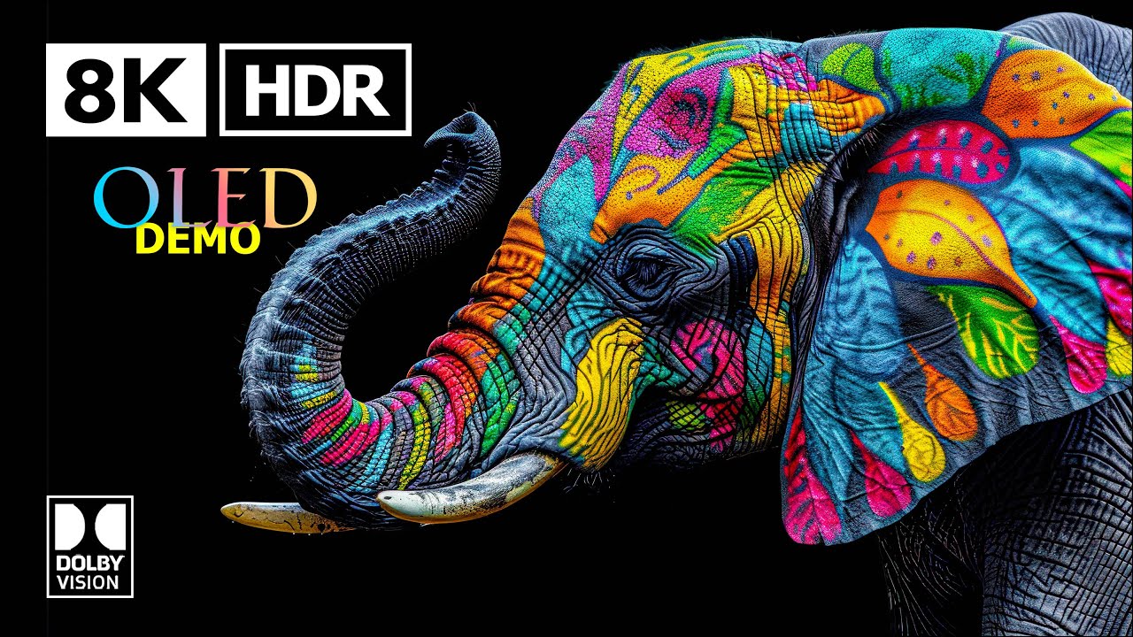 Most Craziest 8K Video ULTRA HD 240 FPS - Dolby Vision (8K HDR) - YouTube