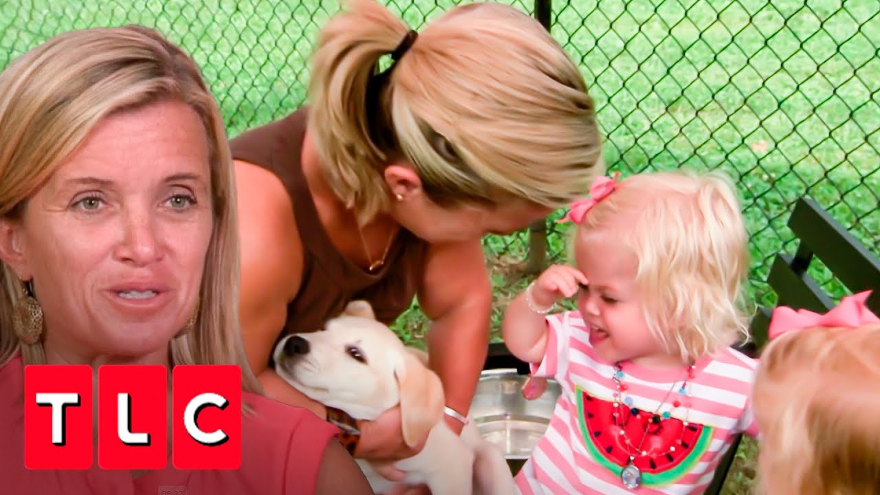 Jack, Cate e Cece sentem a emoção de brincar com cães | A Família ...