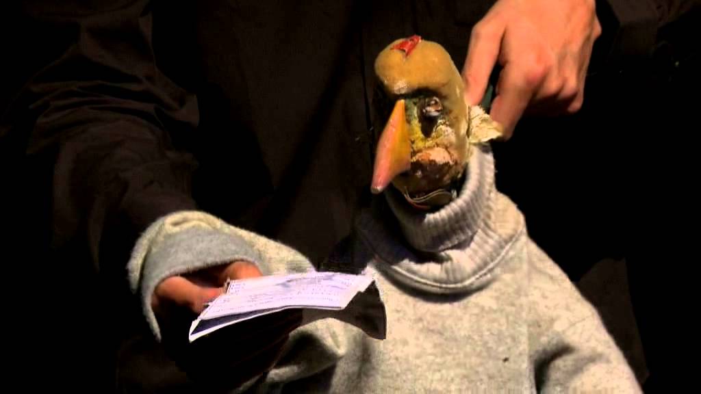 DVD Trailer: Michael Hatzius "Die Echse und Freunde - das volle ...