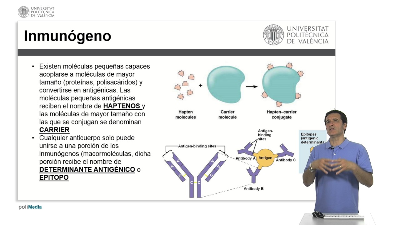 Antígenos y Anticuerpos | 2/25 | UPV - YouTube