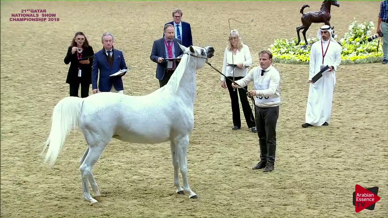 N.296 BATOUL AL NAIF - 21st Qatar National 2018 - YouTube