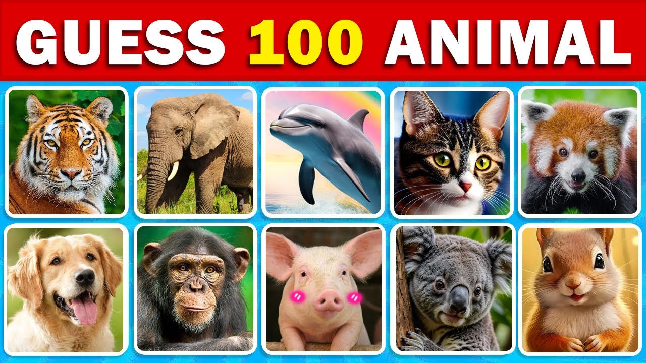 Guess 100 Animals in 3 Seconds 🦁🐼🐵 | EASY to IMPOSSIBLE - YouTube