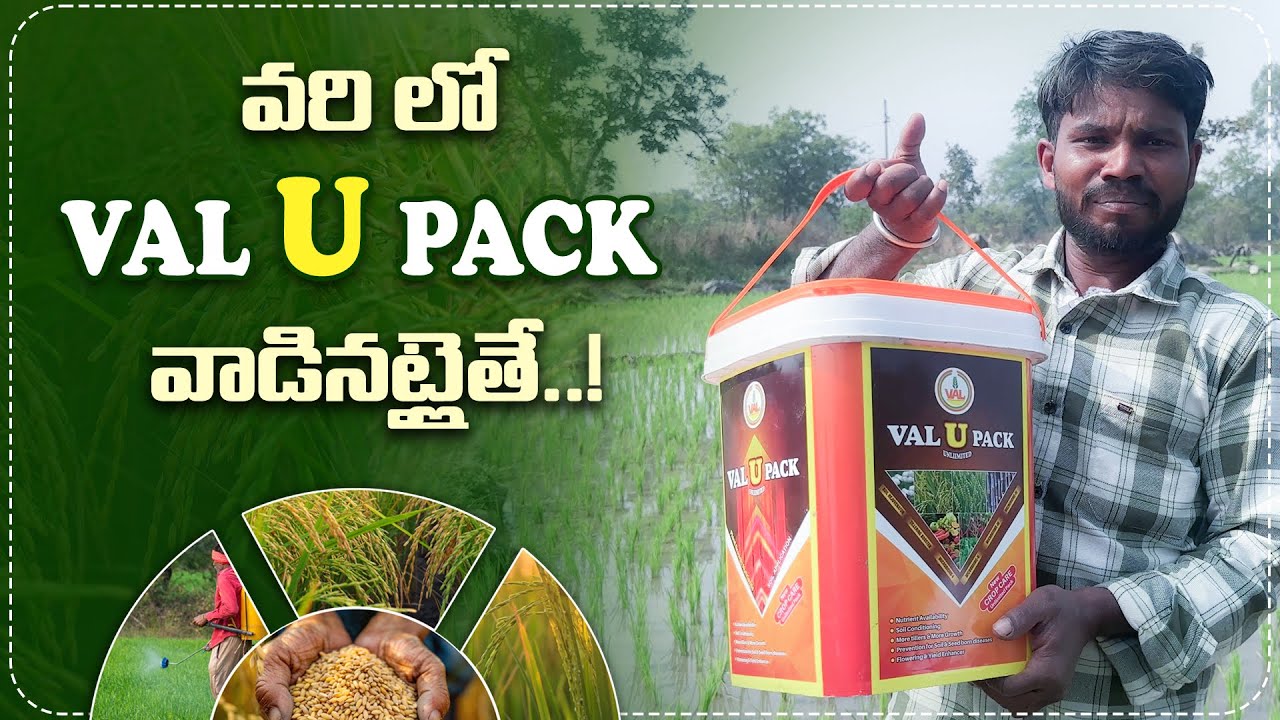 Farmer Success Story | Real Feedback on VAL U PACK Product - YouTube