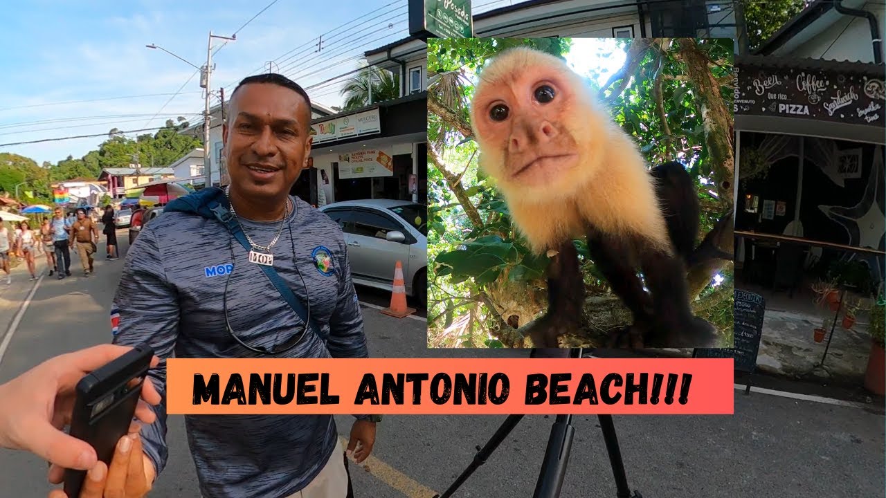 These Monkeys STOLE from us! | Guided walk through Manuel Antonio Costa ...