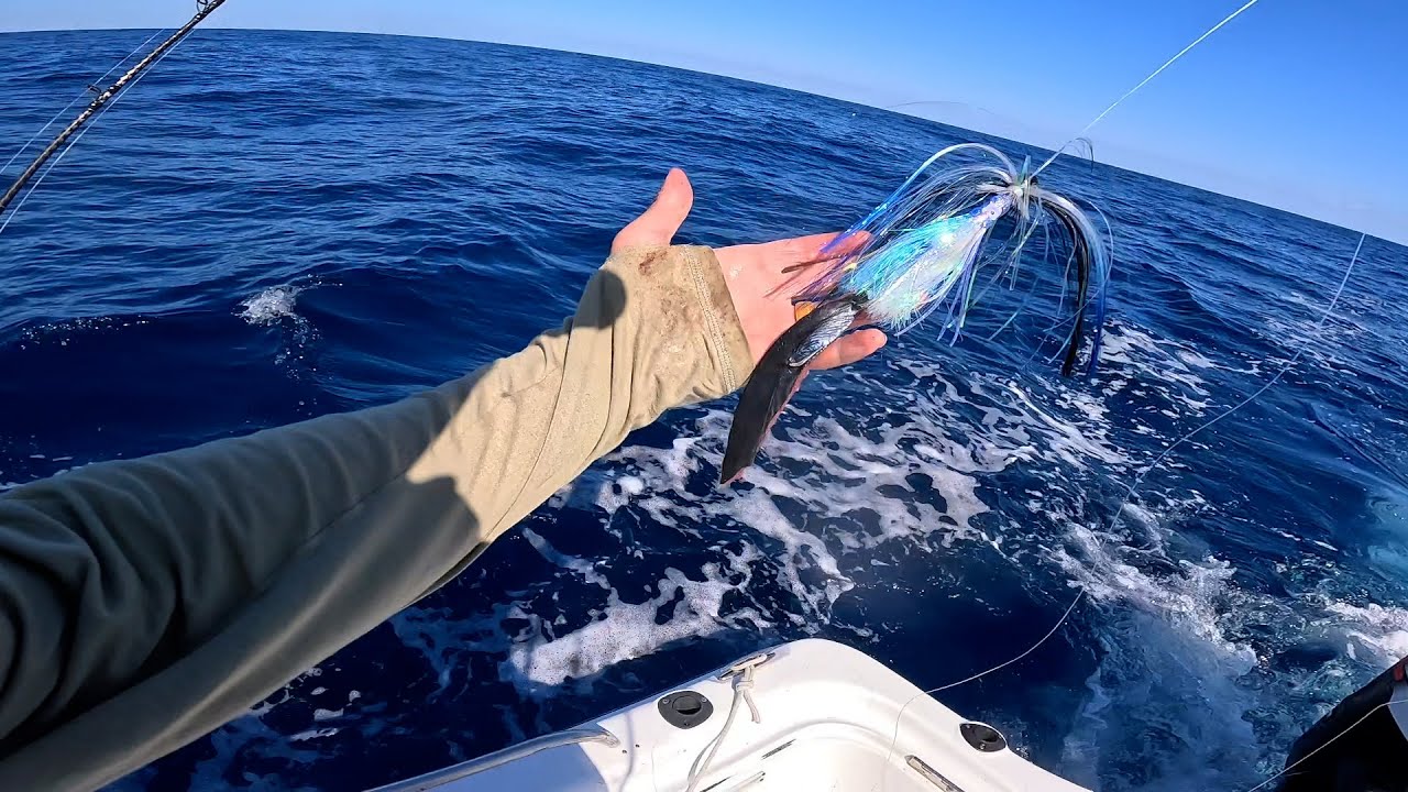 Offshore and Inshore Multi-Species Fishing - Big Amberjack, Bluefish ...