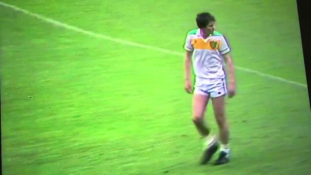 Offaly Scores All Ireland Final 1982 Point 6 Matt Connor - YouTube