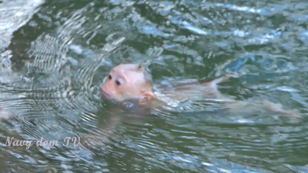 Wonderfully day :Tiny Baby Royston can swim & Take Bath By Kunthea Mom ...