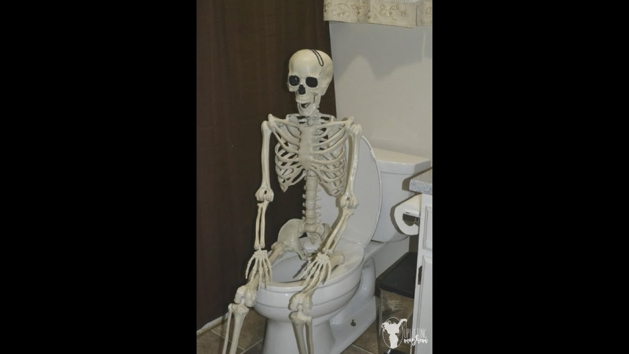 🔴LIVE: SKELETON SEASON GRAND FINALE - YouTube