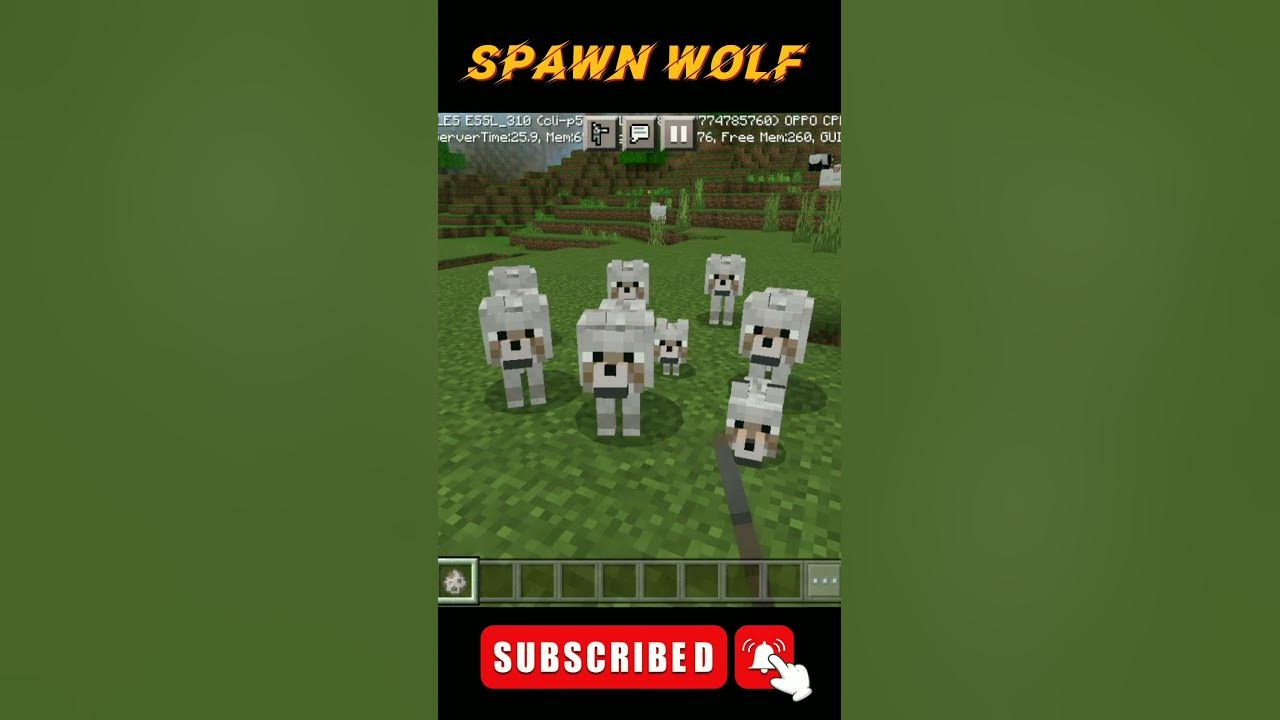 Spawn Wolf In Minecraft Minecraft Shorts Youtube