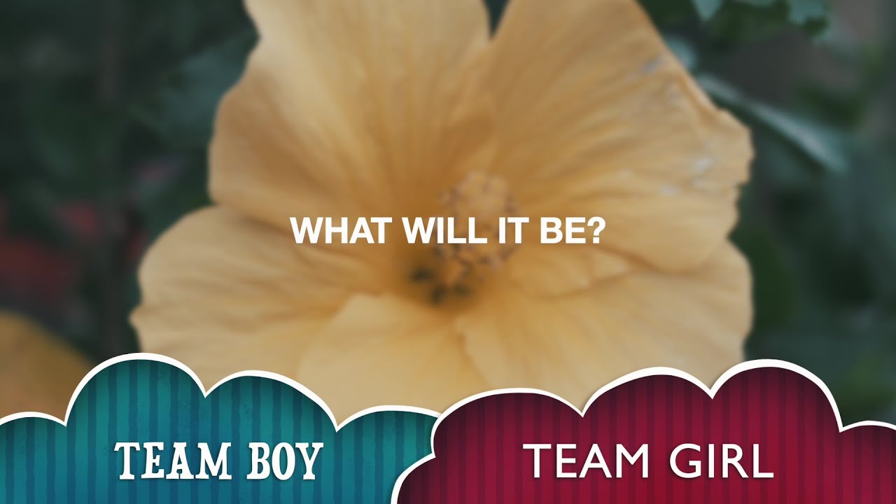 Baby Gender Reveal Explosive Target - YouTube