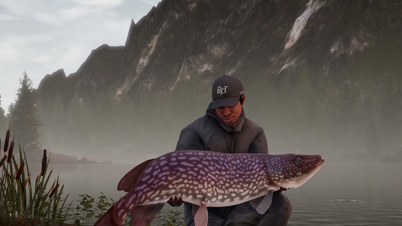 The Catch: Carp & Coarse - Collector's Edition - YouTube