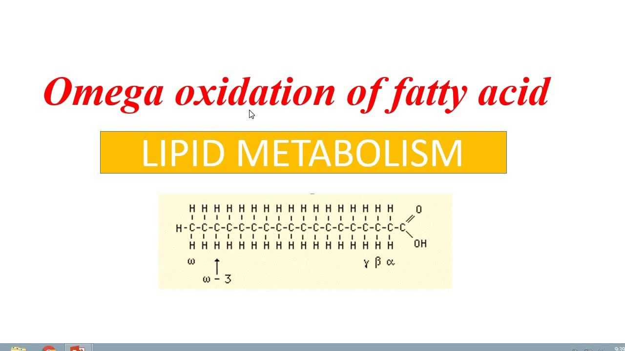 Omega oxidation of fatty acid/Lipid metabolism/Shiv Bhadra Singh - YouTube