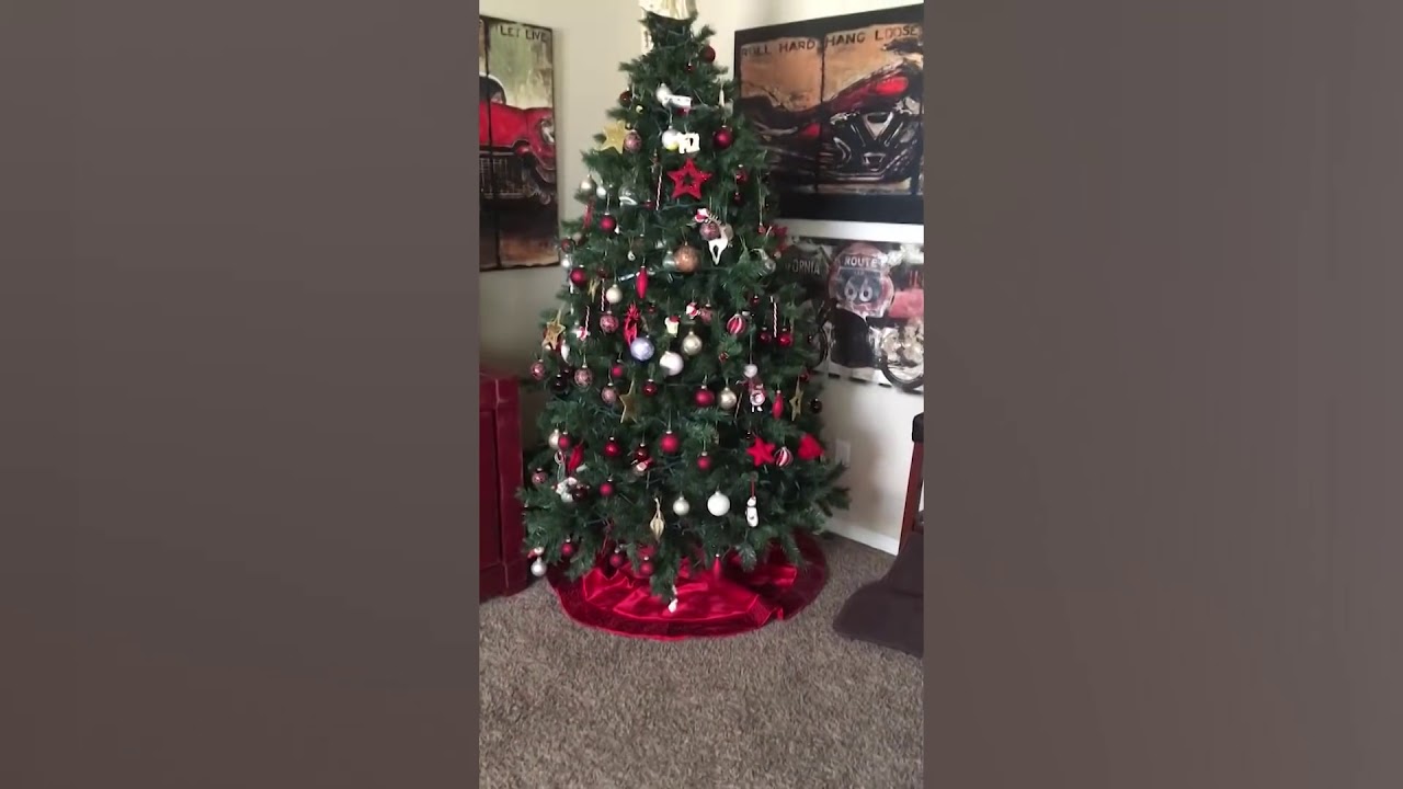 Cats vs Christmas Trees ¦ Funniest Showdowns ¦ AFV Funny Videos 2018 ...