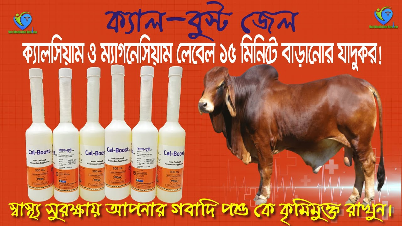Cal-Boost । ক্যাল-বুস্ট জেল ক্যালসিয়াম, ম্যাগনেসিয়ামের ঘাটতি পূরণে ...