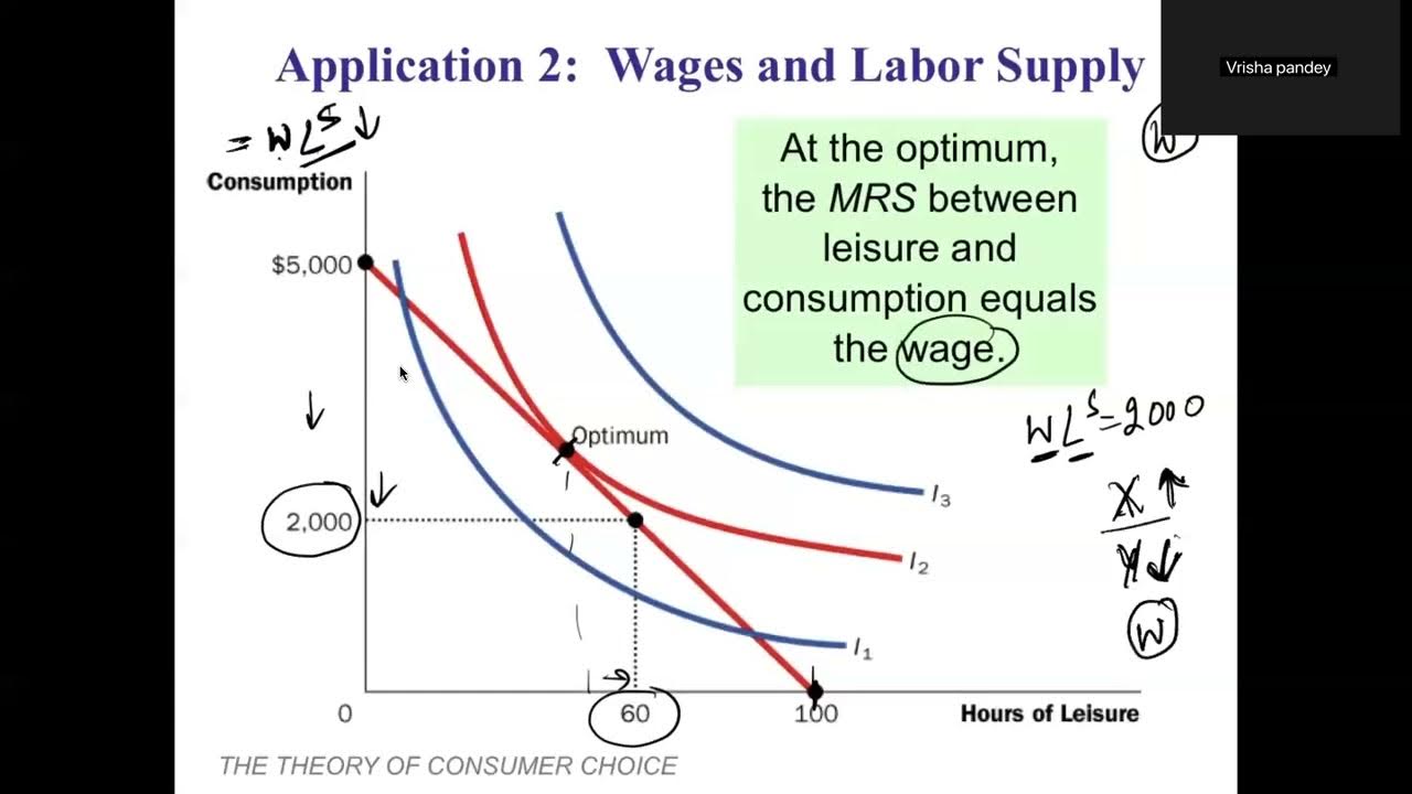 Labor Supply Curve | Upward Sloping Labor Supply| Backward Bending ...