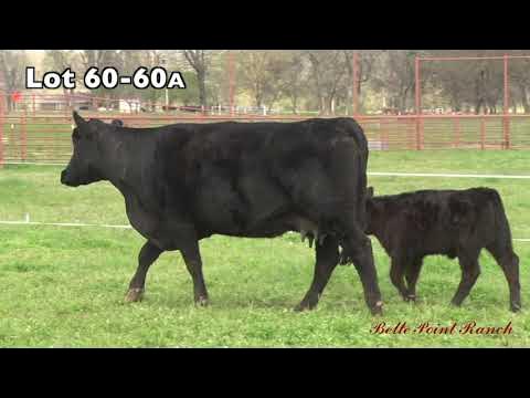 Lot 60 60A - YouTube
