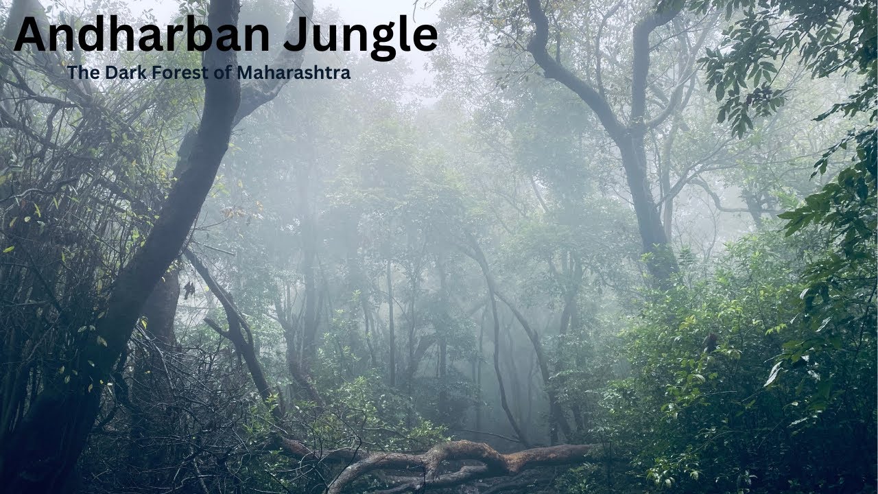 Andharban Trek Solo: Is It Possible & Safe ? | Andharban trek in ...