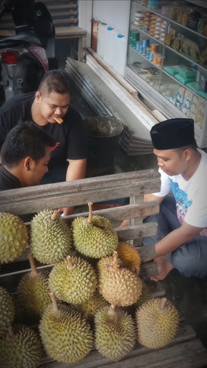 Borong Durian #durian - YouTube