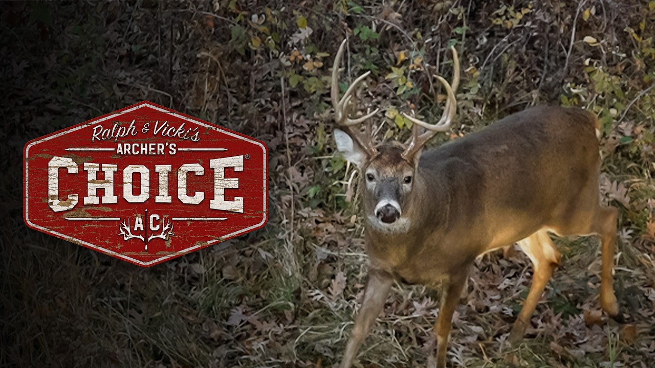 Amazing Midwest Whitetail Action | Archer’s Choice - Season 23 - YouTube