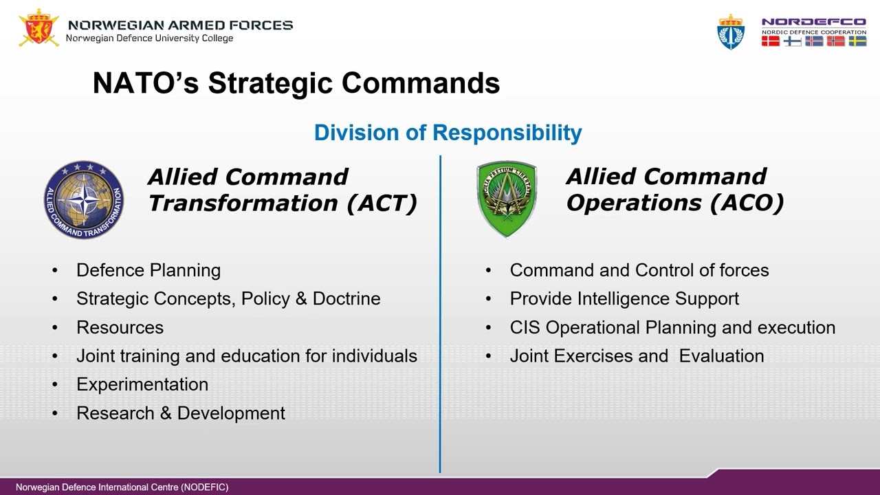 NATO 1 01 Basic Knowledge - YouTube