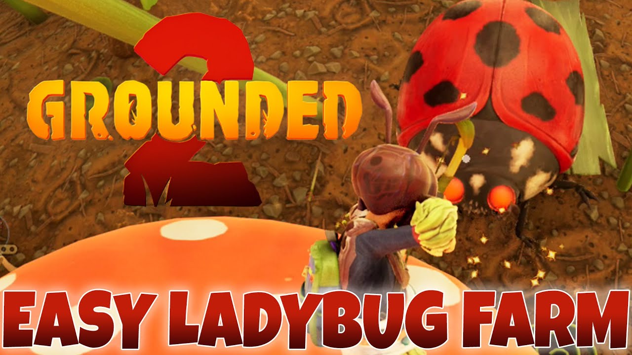 Early Game Ladybug Farming Guide in Grounded 2 - YouTube