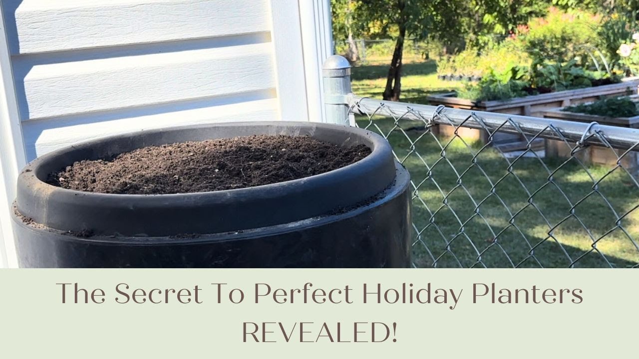 The Secret to Perfect Holiday Planters Revealed! - YouTube