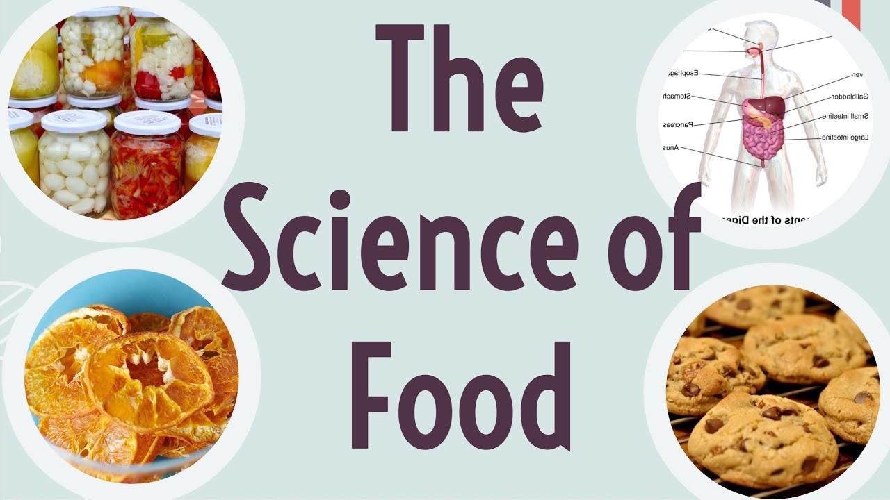 FSHN 101 at UIUC - THE SCIENCE OF FOOD - YouTube