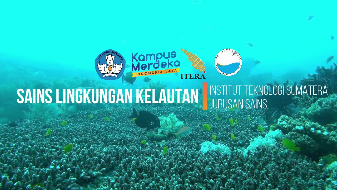 PKM Propagasi/Transplantasi Karang dengan Metode Web Spider di Teluk ...