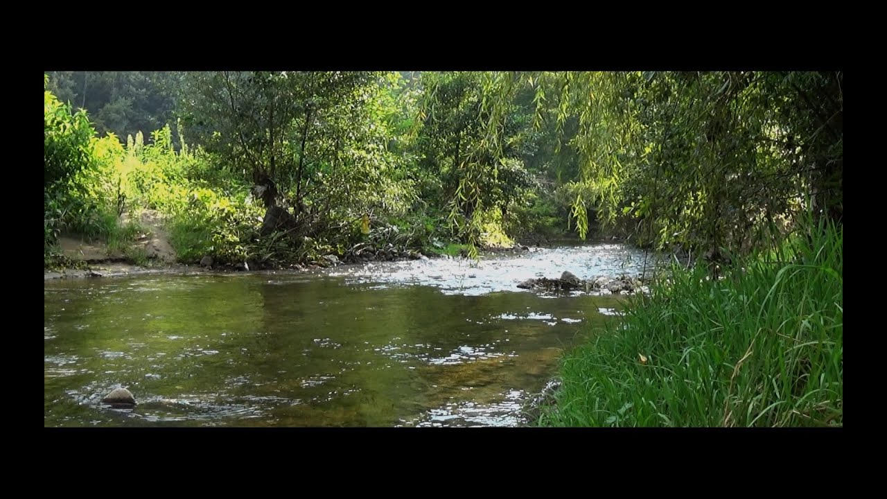 Wilderness Village (relaxing music) ♫ Full50HD - YouTube