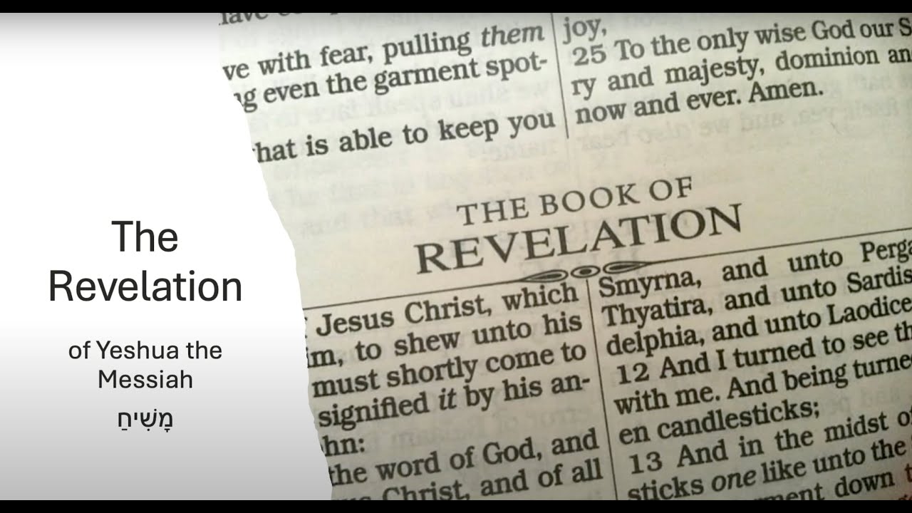 Rev Part 2 - YouTube