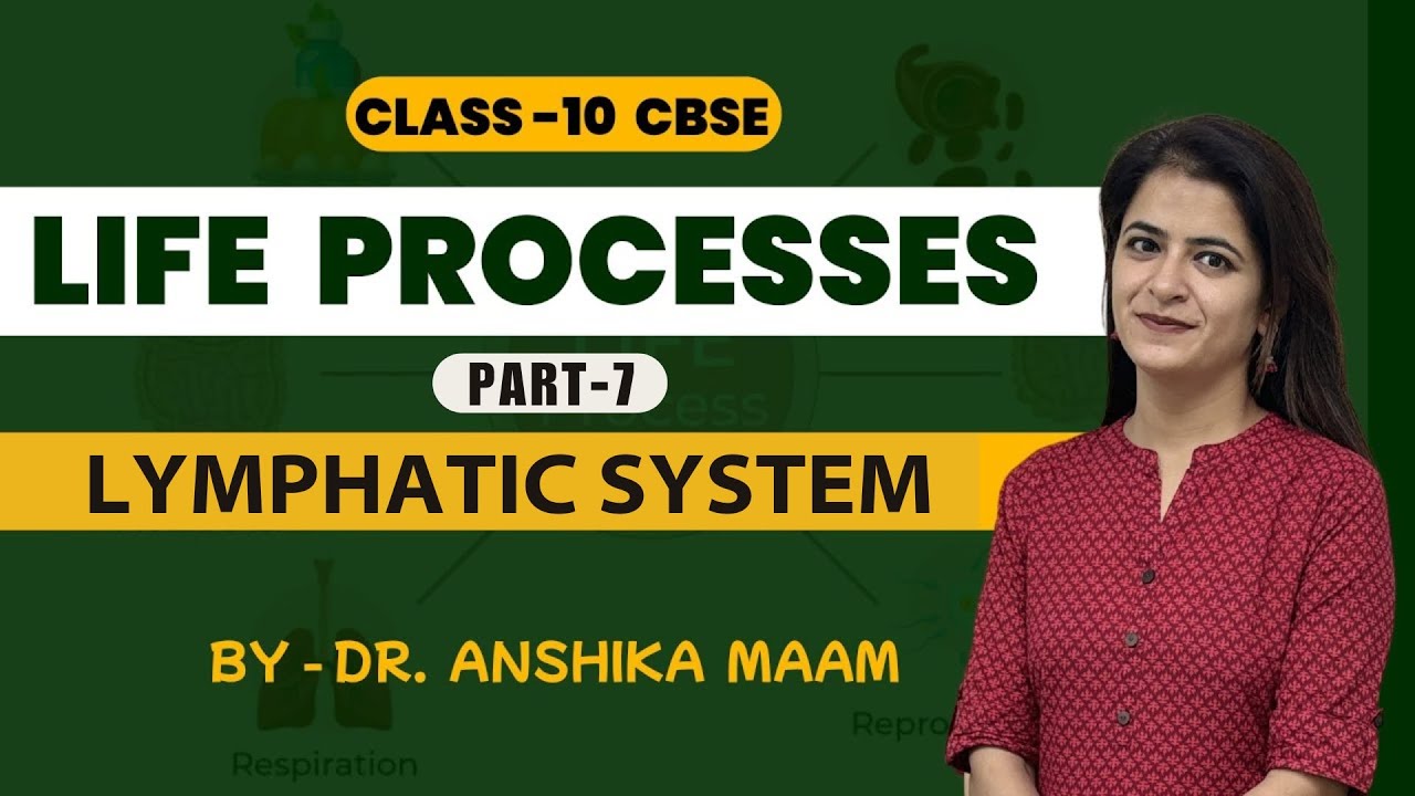 How the Lymphatic System Works in Animals | Biology Basics #biology # ...