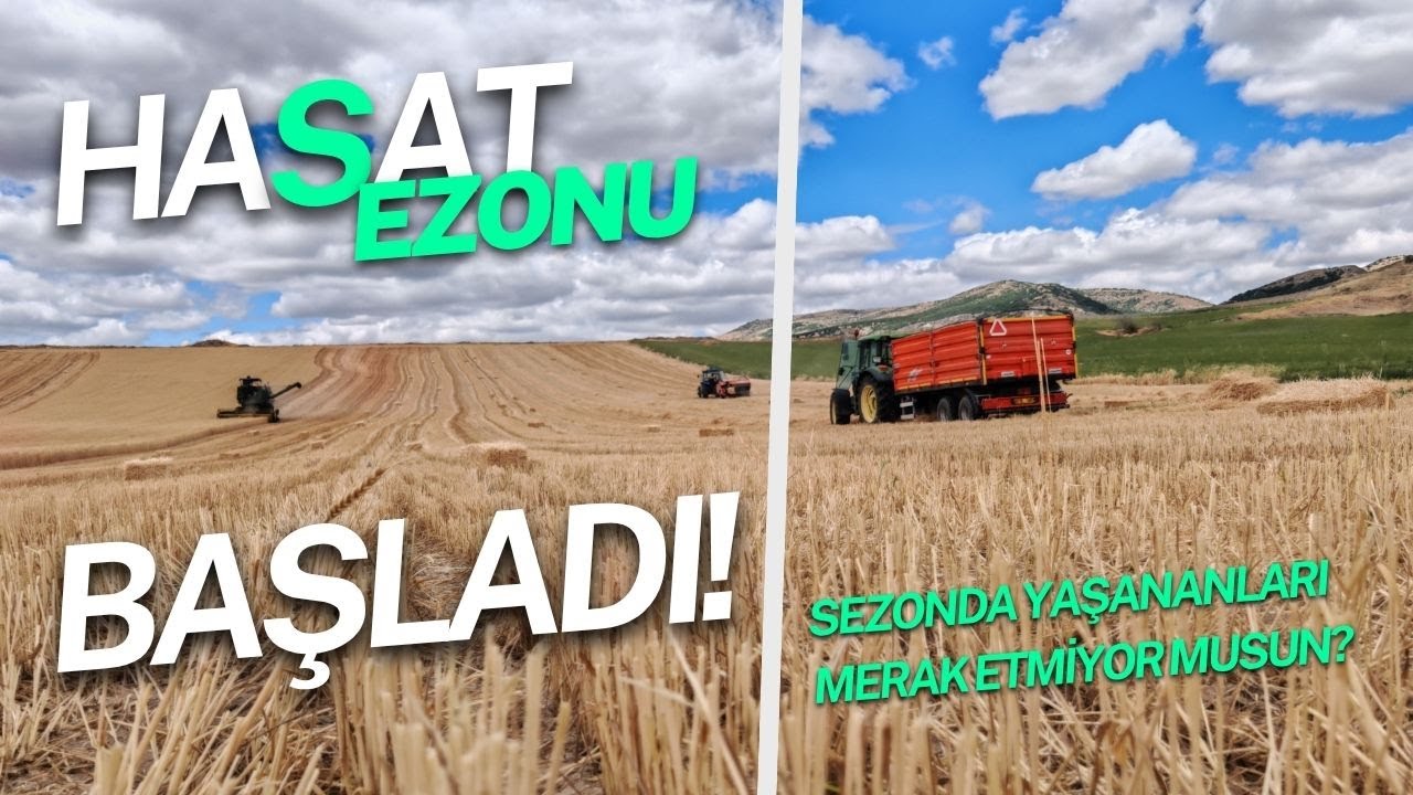 Hasat Döneminde Neler Yaşadık? / Verimler Ne Durumda? / Sezon Nasıl ...