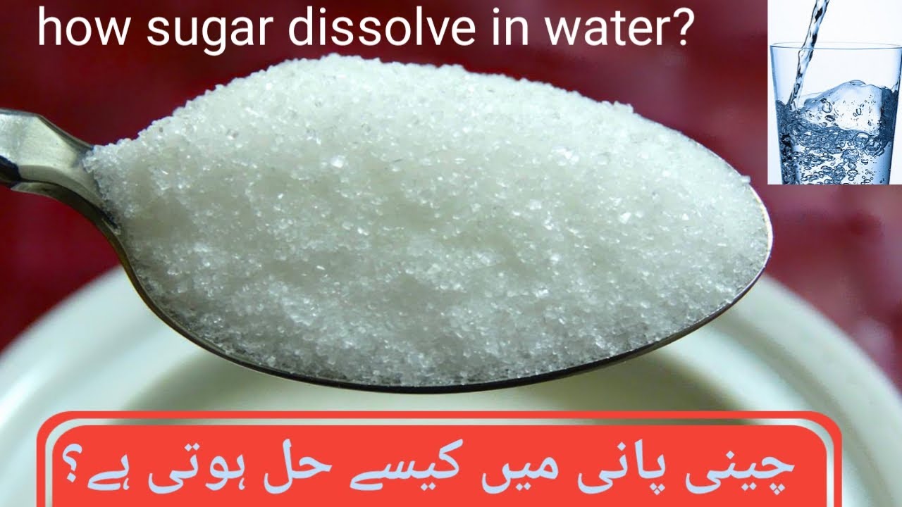 How sugar dissolve in water ? | reaction between sugar and water ...