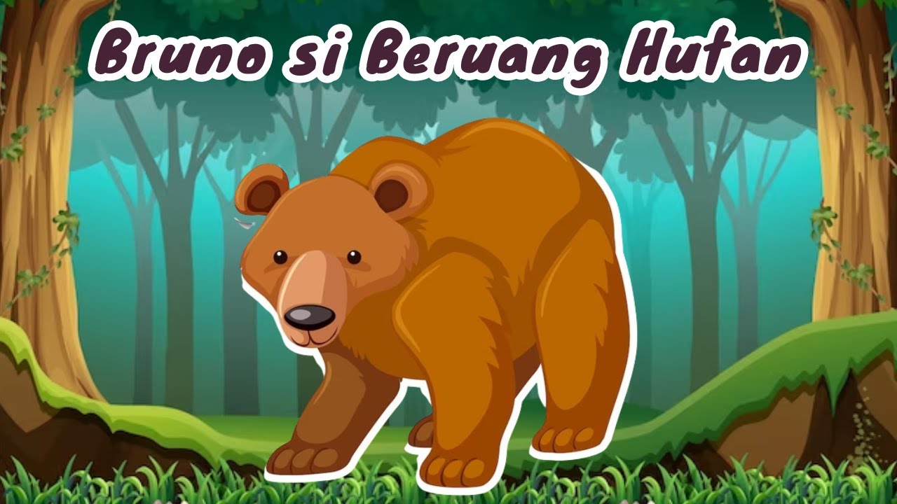 BRUNO SI BERUANG HUTAN ANIMASI KARTUN ANAK - YouTube