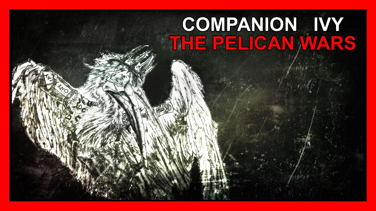 The Great Pelican Wars - YouTube