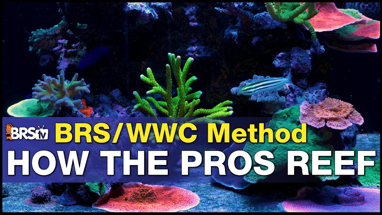 Ep:0 How the PRO's do it. A introduction into the BRS/WWC Hybrid method ...